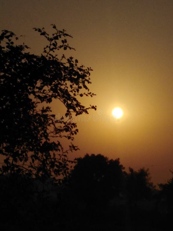 Morning stock photo. Image of light, tree, ghas, mornings - 160619552