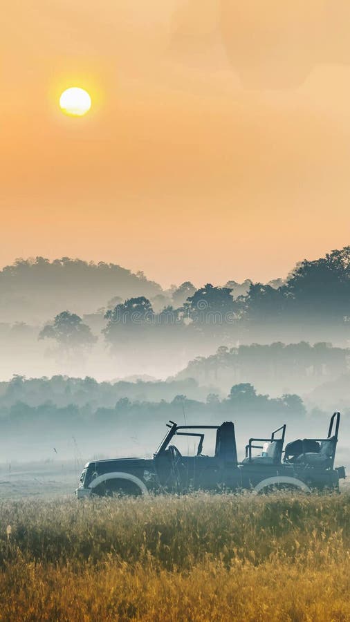 Morning safari drive stock image. Image of landscape - 12998895