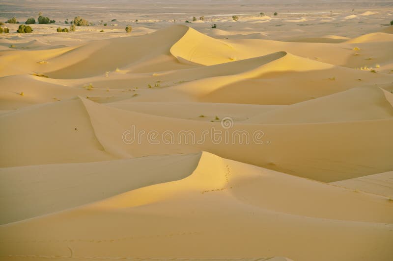 Morning in Sahara, First Morning Light Illuminated Peaks of Sand Dunes ...