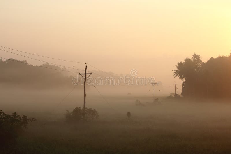 Morning scene stock image. Image of asia, agriculture - 25098837