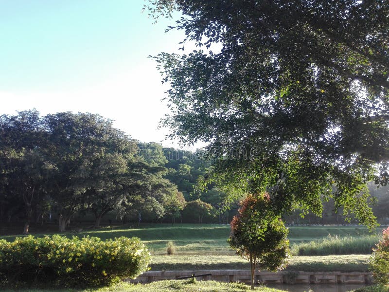 Morning scene stock photo. Image of morning, snap, jogging - 129939940