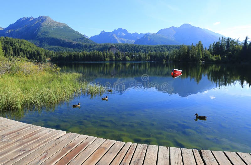 Morning Scene on Mountain Lake Stock Image - Image of duck, boat: 131766773