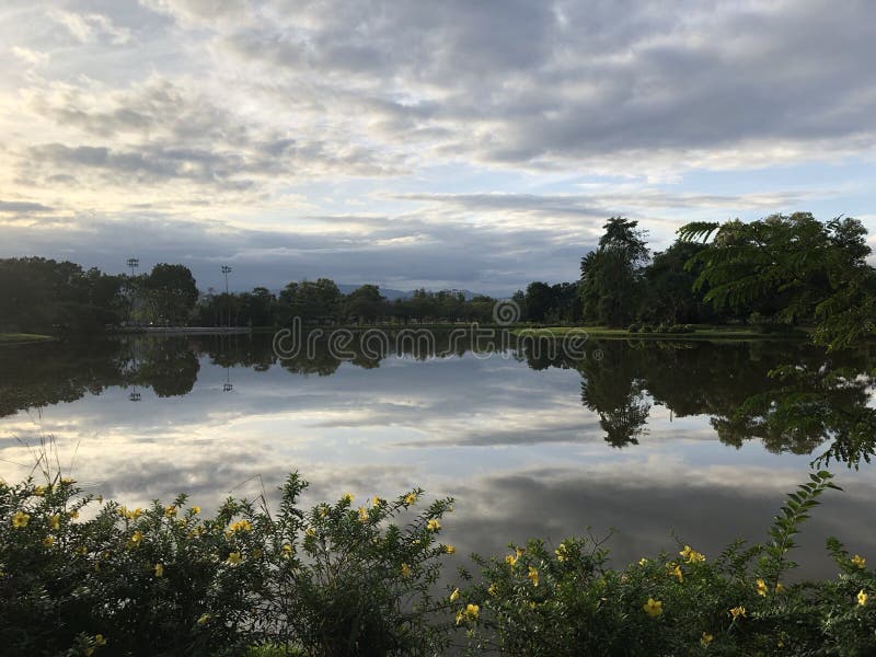 Morning scenery stock photo. Image of lakeside, dawn - 103686320