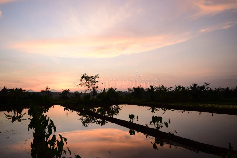Morning Scenery in the Countryside Stock Image - Image of morning ...