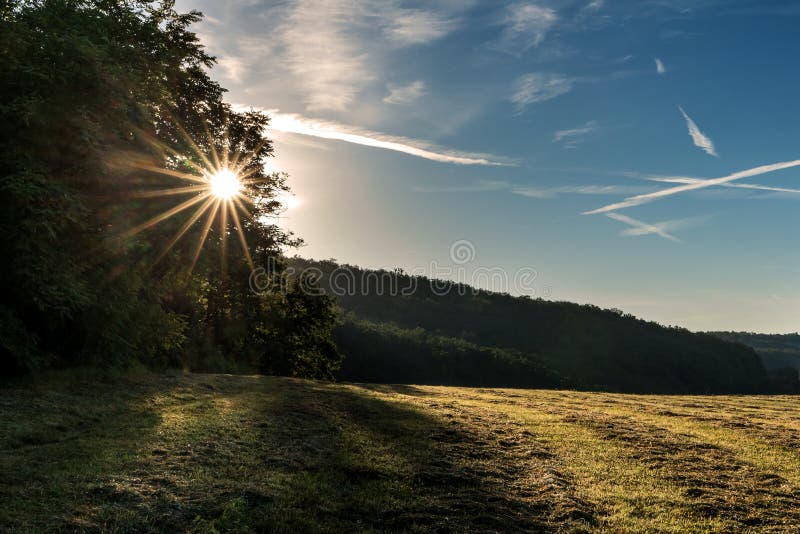 Morning Scenery in a Forest, with the Sun Casting Beautiful Rays of ...