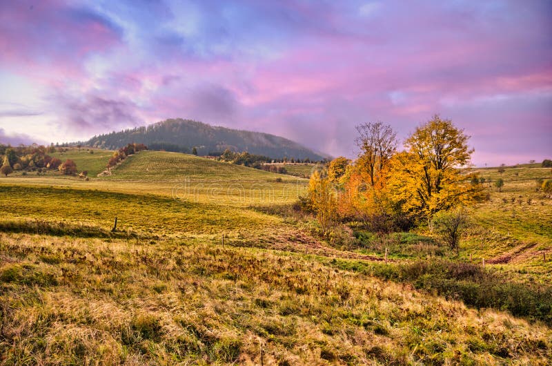 Morning Scenery with Violet Clouds on the Sky Stock Image - Image of ...