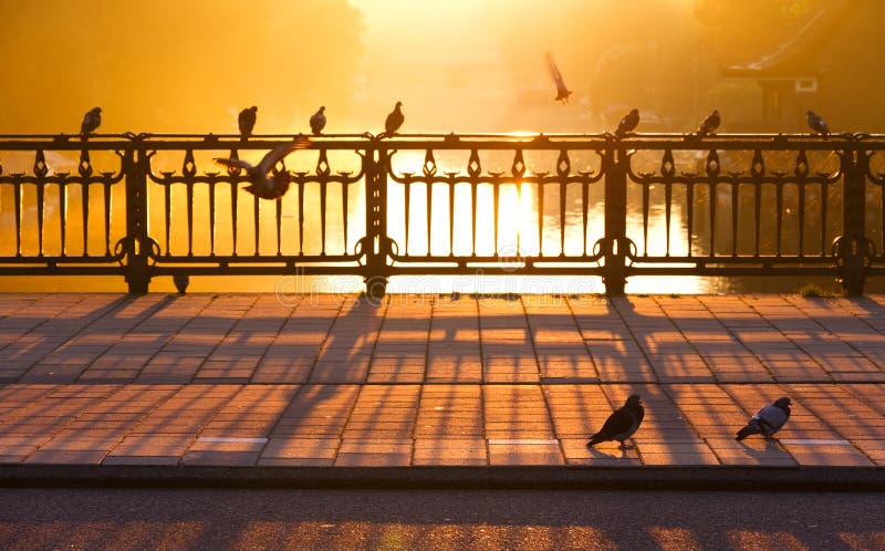 Morning shadows stock photo. Image of sitting, calm, outdoor - 27871136