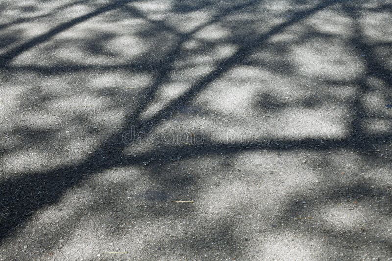 Morning Shadows on the Road. Decorative Background Design Stock Photo ...