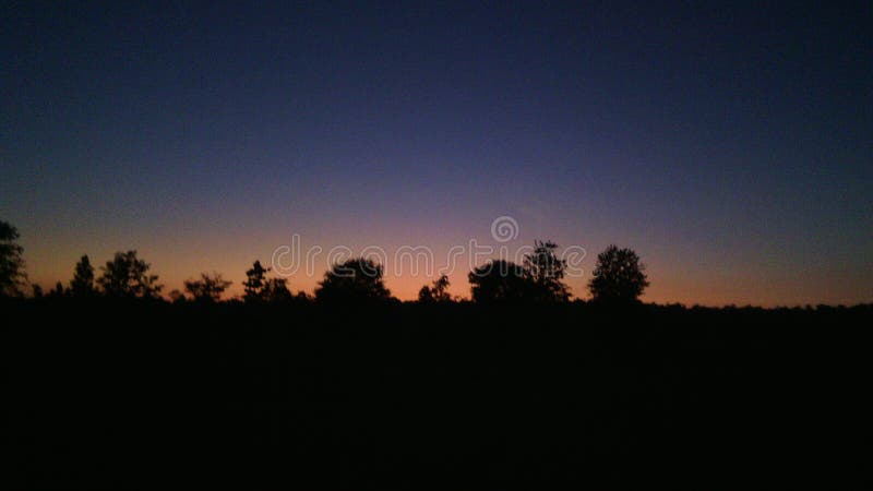 Morning editorial photography. Image of sunset, tree - 47752892