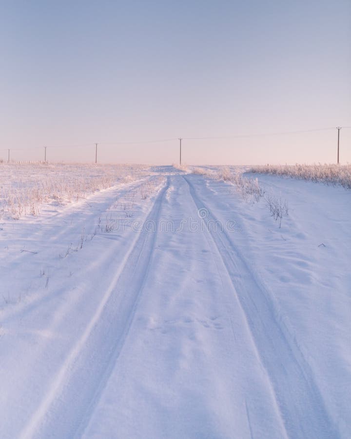 Morning in a Snow-filled Field Stock Photo - Image of morning, orange ...