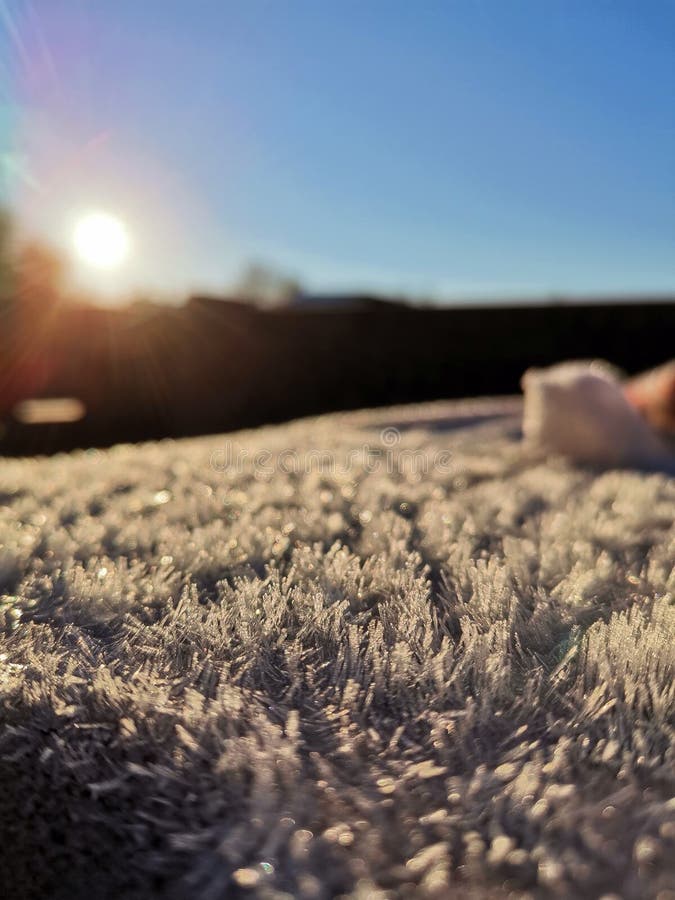 Morning snow, sunrise stock photo. Image of morning - 214334304