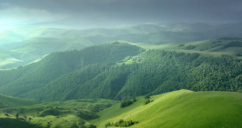 Somber morning stock photo. Image of forest, morning - 55945716