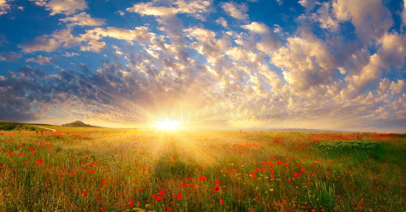 Morning space stock image. Image of meadow, countryside - 41388189