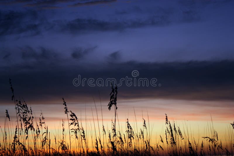Morning Star stock photo. Image of sunrise, green, colorful - 82194638
