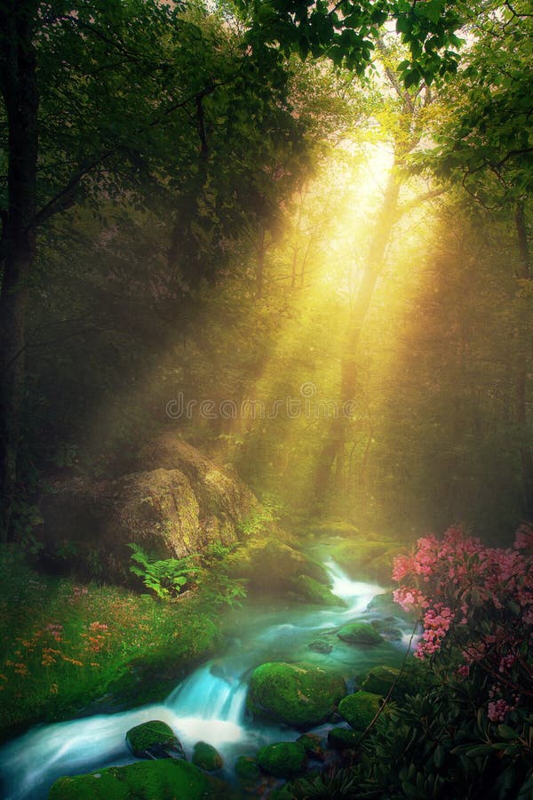 Rays of light. stock photo. Image of beam, bird, light - 30580692