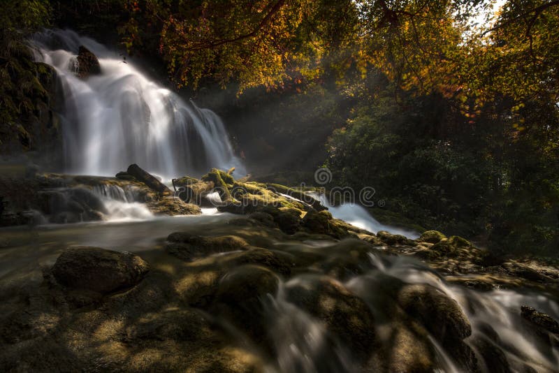 Morning Stream stock image. Image of creek, still, water - 59786441