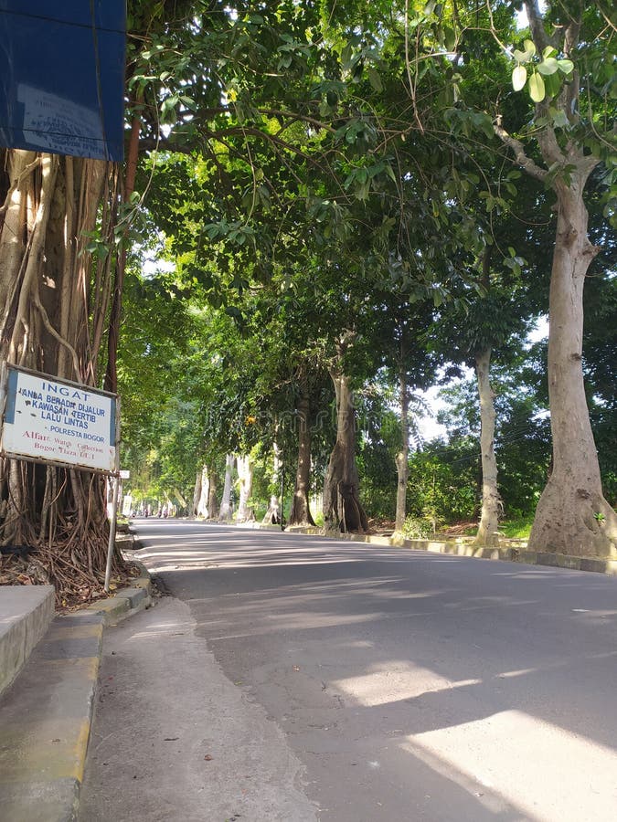 Morning street view stock image. Image of road, infrastructure - 228287883