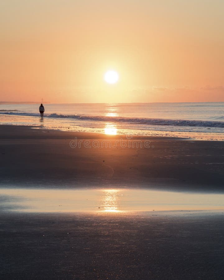 Morning stroll stock photo. Image of reflection, water - 97752900