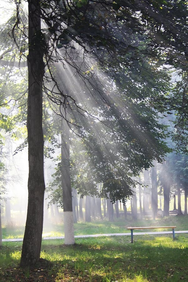 Morning sun stock image. Image of mystery, sunlight, autumn - 11750405