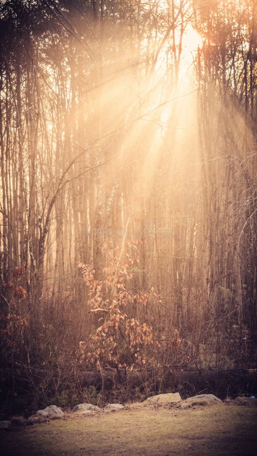 Morning Sun in Boston Massachusetts Stock Image - Image of hoop, berlin ...