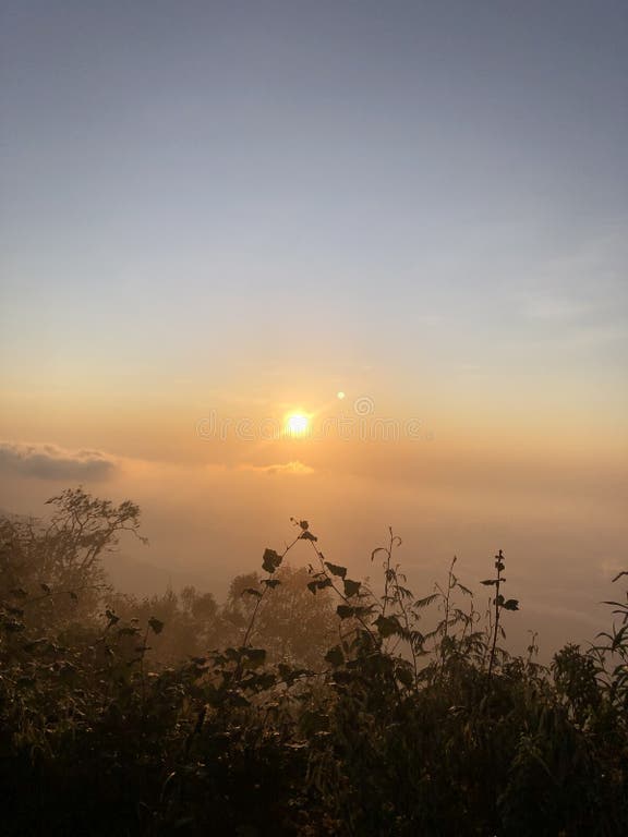 Morning sun stock image. Image of morning, tree, sunlight - 348324255