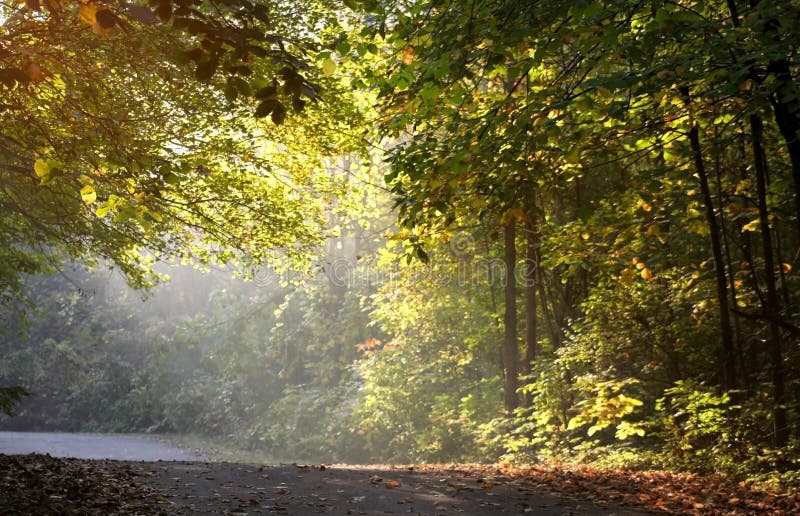 Morning Sun Light stock photo. Image of autumn, landscape - 3336856