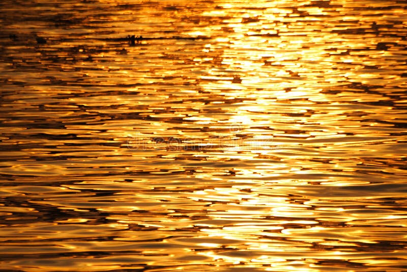 The Morning Sun Light is Reflect on the River Stock Image - Image of ...