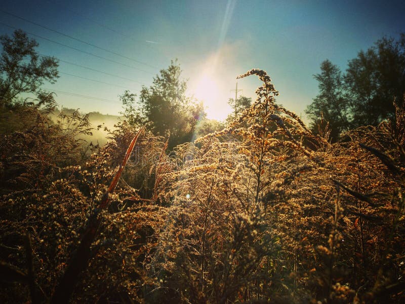 Morning sun magic stock image. Image of magic, morning - 152960409