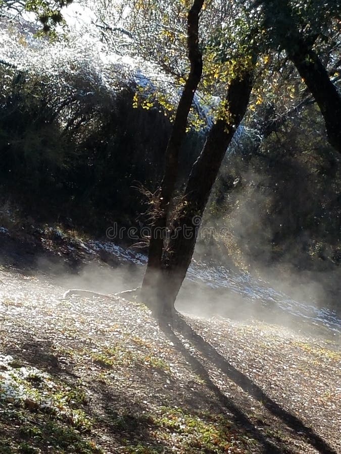 Morning sun with mist stock photo. Image of mist, nature - 141716396