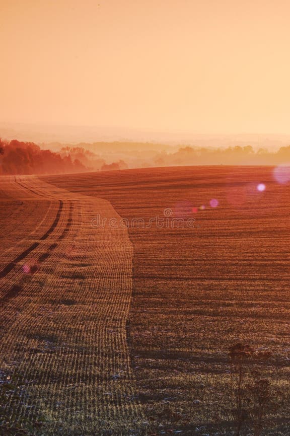 Morning sun in October stock image. Image of sunshine - 11452385