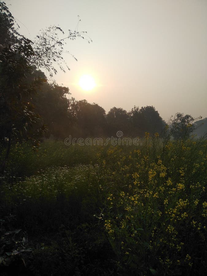 Morning sun photo in india stock photo. Image of pradesh - 171551126