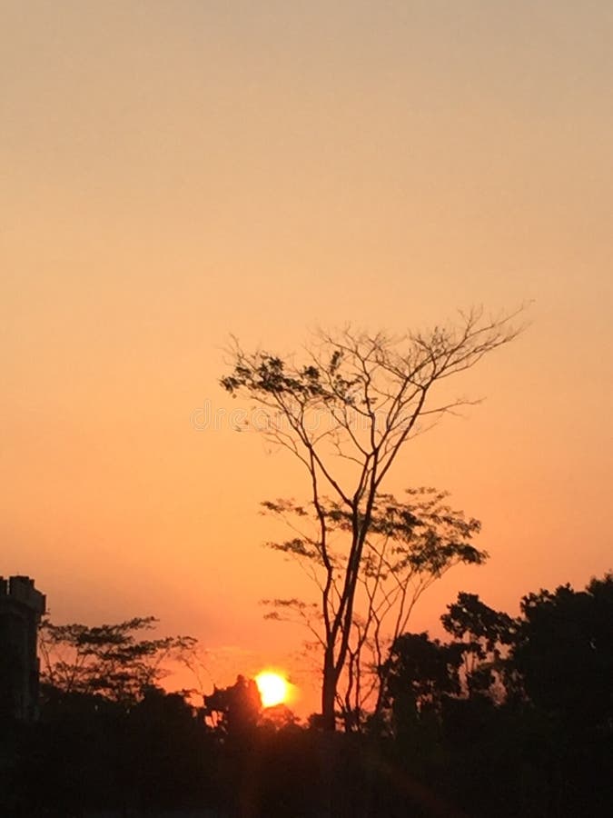 Morning sun stock image. Image of rain, morning, time - 178831375