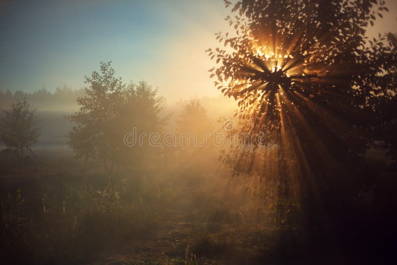 Morning sun ray stock image. Image of scene, outdoors - 48177381