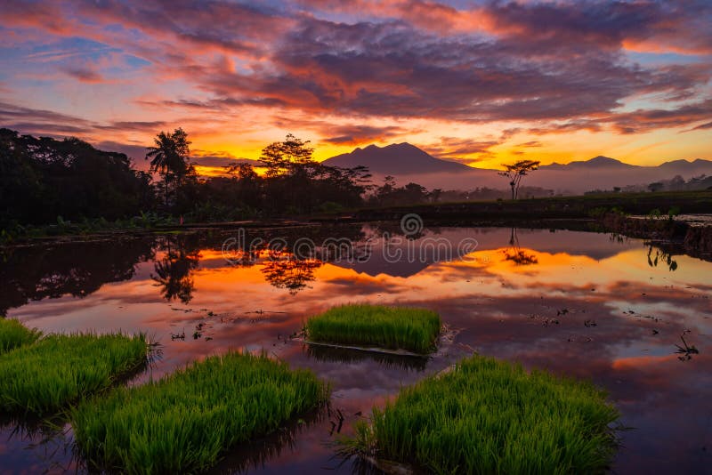 Morning sun and red cloud stock image. Image of cloudy - 264922205