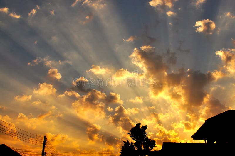 Morning stock image. Image of bright, rise, autumn, nature - 95191701