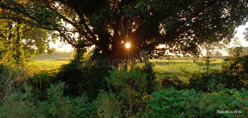 Morning Sun Rises so Beautiful Stock Photo - Image of beautiful, rise ...