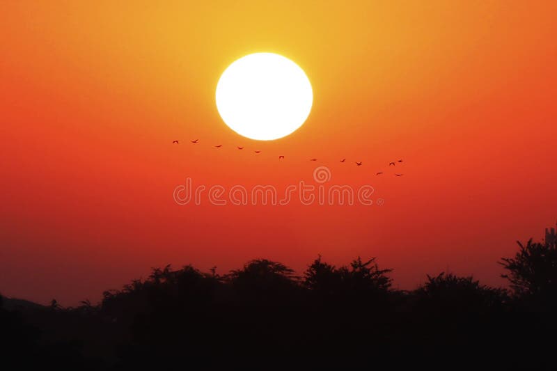 Morning Sun Rises with Birds on Sky Background Stock Image - Image of ...
