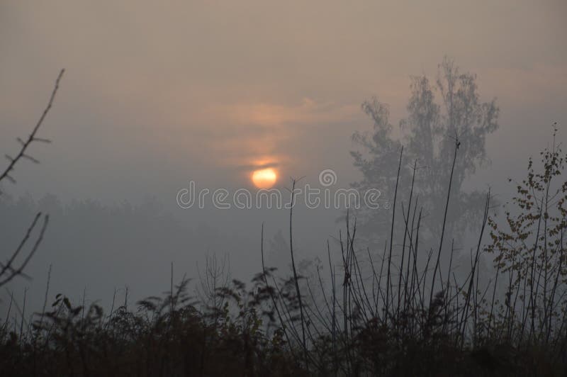 The Morning Sun Rises on the Horizon in the Forest and Village Stock ...