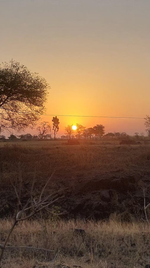 Morning Sun Rising stock photo. Image of morning, forest - 362329596