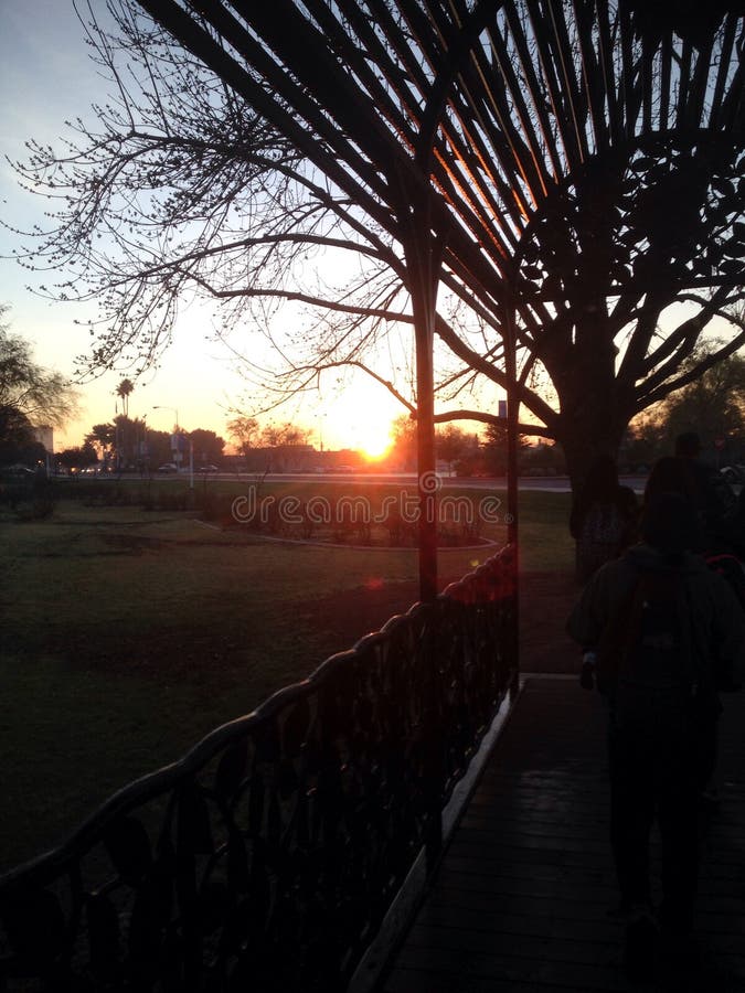 Morning sun rising editorial stock photo. Image of sunrise - 51604928