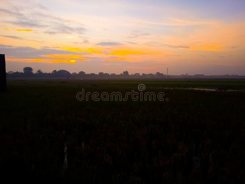The Morning Sun and the Shadow of the Rice Fields in the Countryside ...