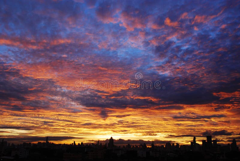 Morning Sun Shine stock image. Image of golden, shine - 177682767