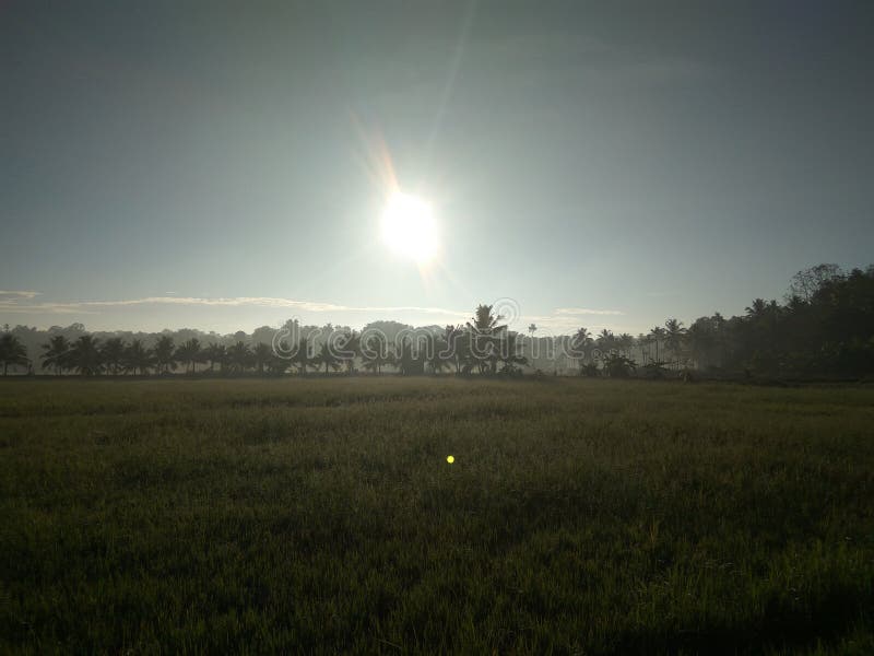 Morning Sun Shine stock photo. Image of morning, plain - 85397772