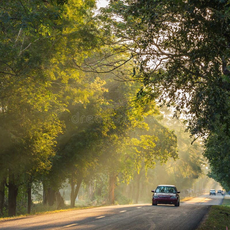 Morning Sun Shining on the Country Road Stock Image - Image of sunbeams ...