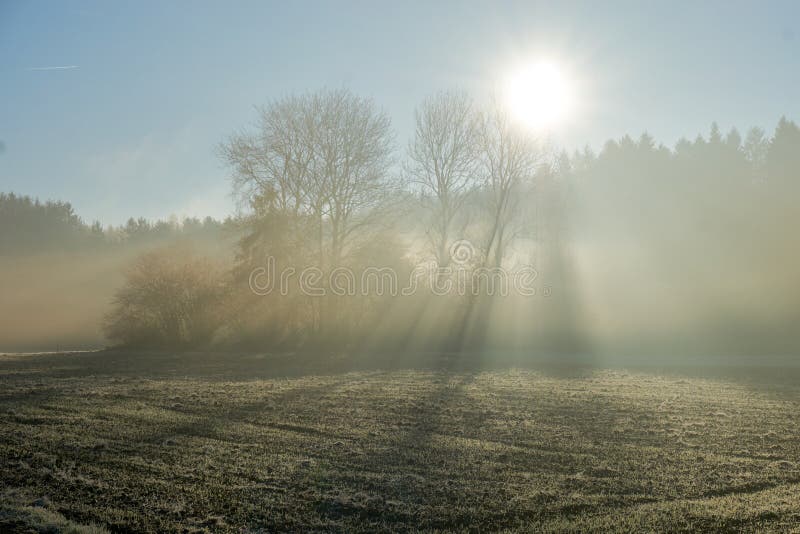 Morning Sun Shining through the Fog Stock Image - Image of beautiful ...