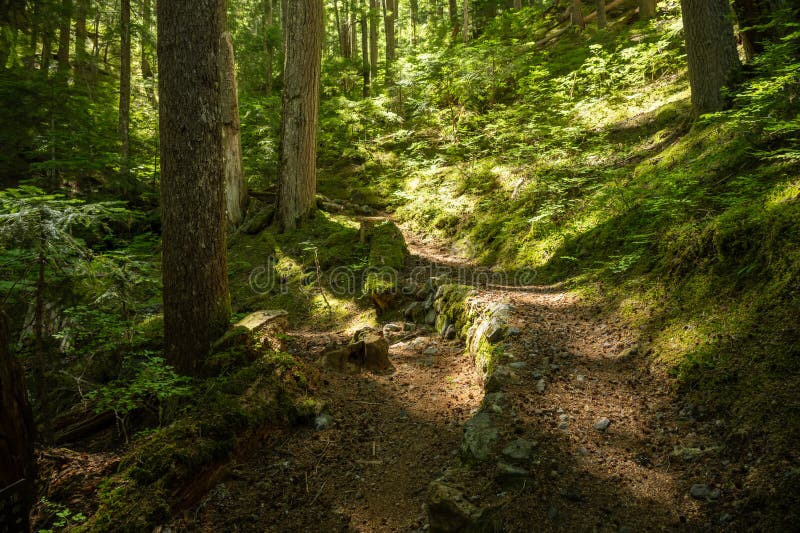 Morning Sun Warms a Switchback in the Trail in Mount Rainier Stock ...