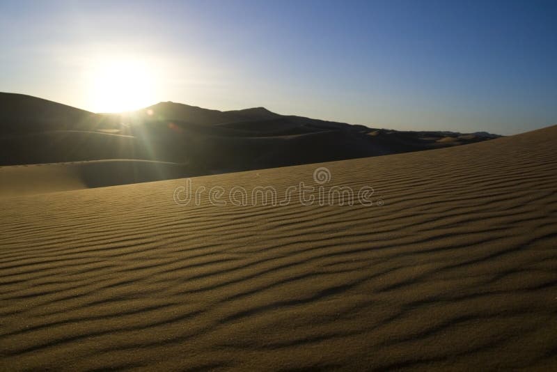 Morning Sunlight in the Desert Stock Image - Image of chebbi, nature ...