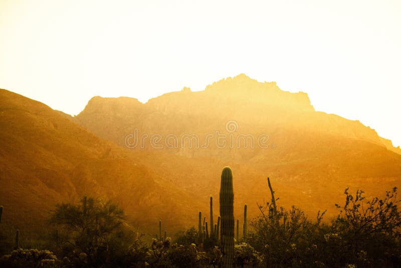 Morning Sunlight in the Desert Stock Image - Image of sunset, late ...