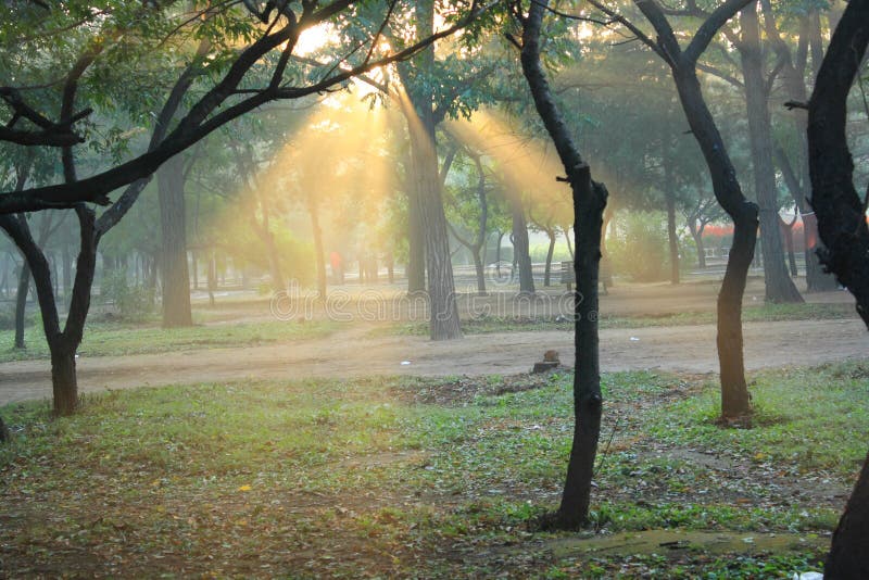 Morning sunlight stock image. Image of lane, beautiful - 45889953