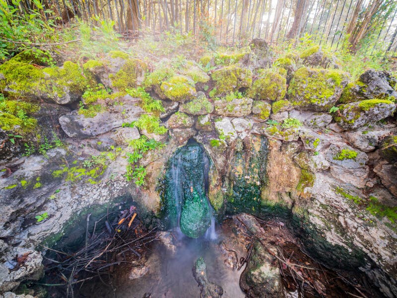 Morning Sunny View of the Hot Spring Above Ground Stock Image - Image ...
